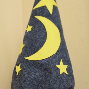 Wizard Hat Felt Dress up Cosplay Costume + Petrosilius Zwackelmann From ...