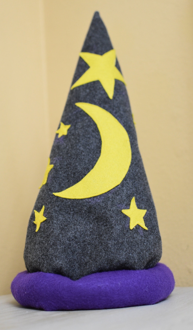 Wizard Hat Felt Dress up Cosplay Costume Petrosilius Zwackelmann From ...
