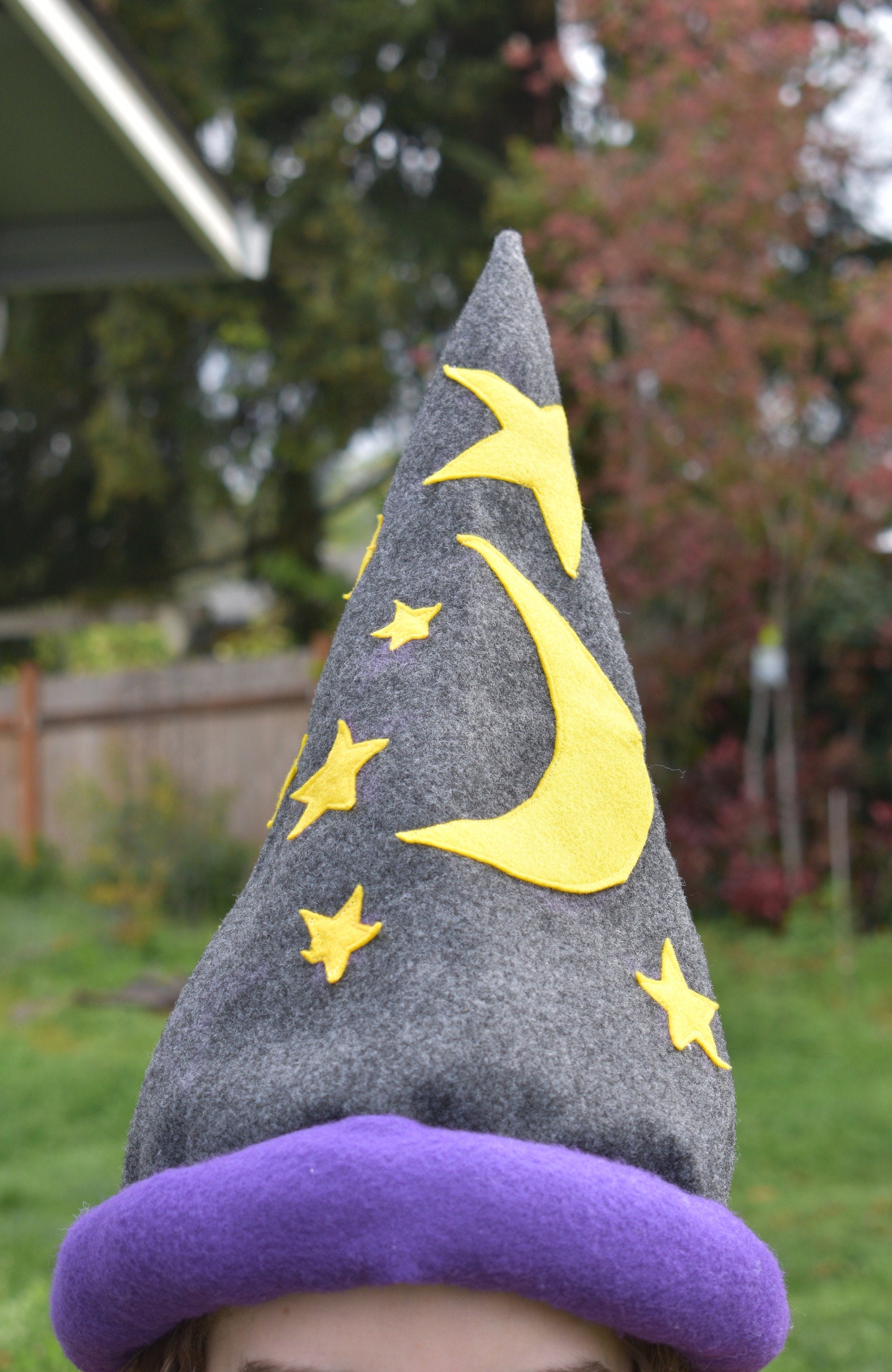 Wizard Hat Felt Dress up Cosplay Costume Petrosilius Zwackelmann From ...