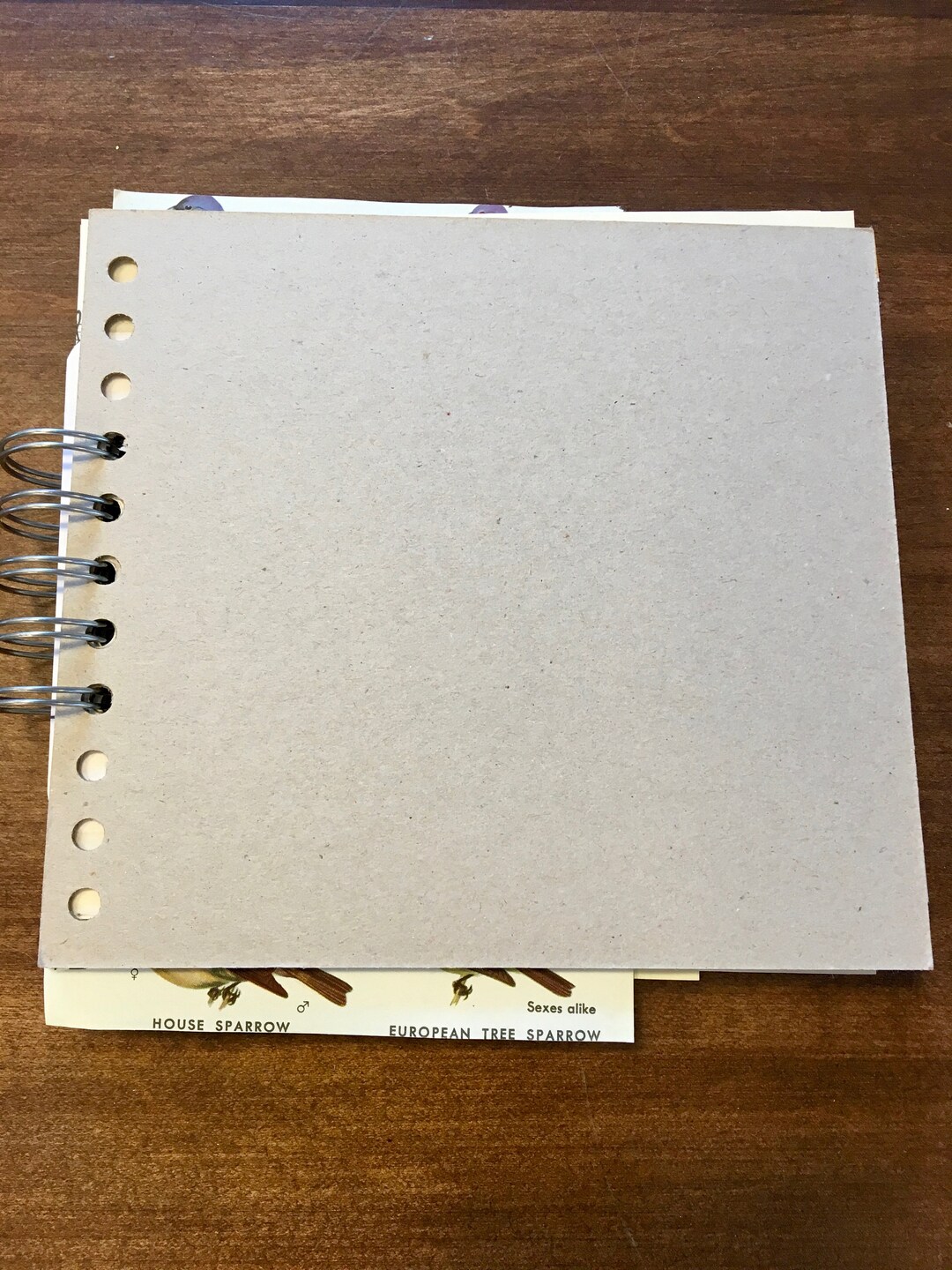 Blank Cover Art Journal / Journal D'art à Couverture Neutre - Etsy