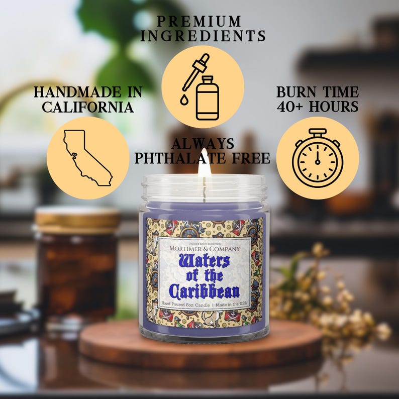 Experiment 626 Disney Candle | Lilo and Stitch Inspired Home Fragrance ...