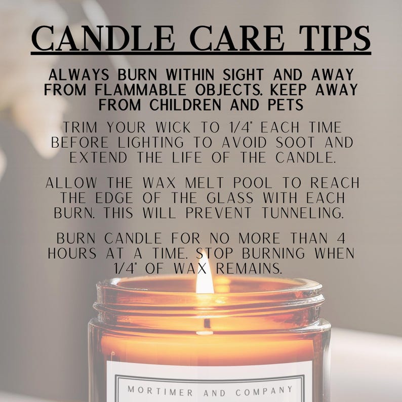 Experiment 626 Disney Candle | Lilo and Stitch Inspired Home Fragrance ...