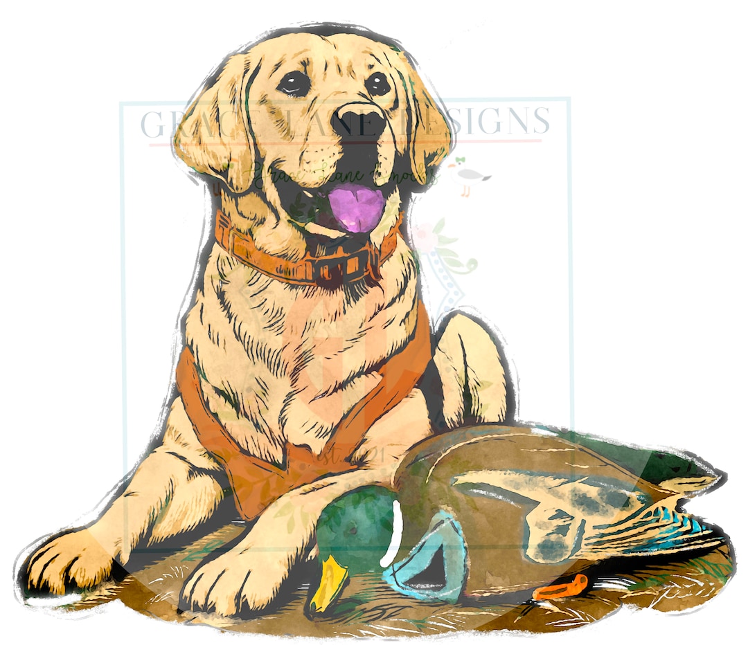 MALLARD DUCK PNG Hand Drawn Digital Download Duck Hunter Lab Dog ...