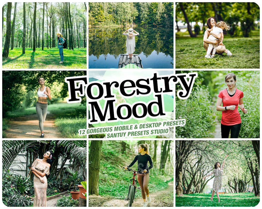 FORESTRY MOOD Collection Mobile & Desktop Presets Lifestyle/blogger/travel /family Presets ...