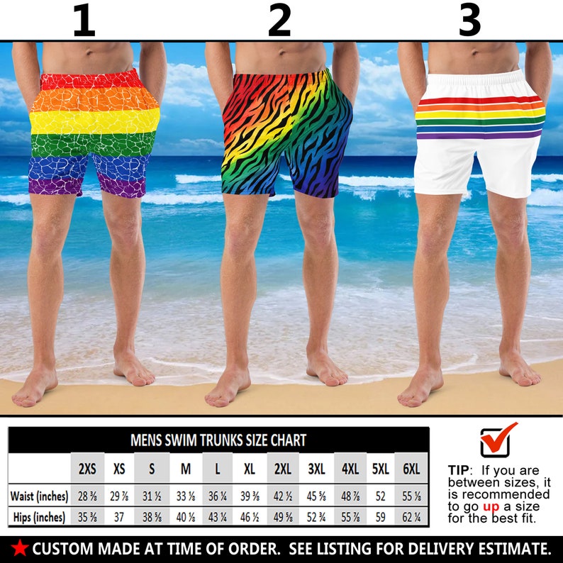 Men's Gay Pride Swim Trunks 1 Pride Month Parade Rainbow - Etsy