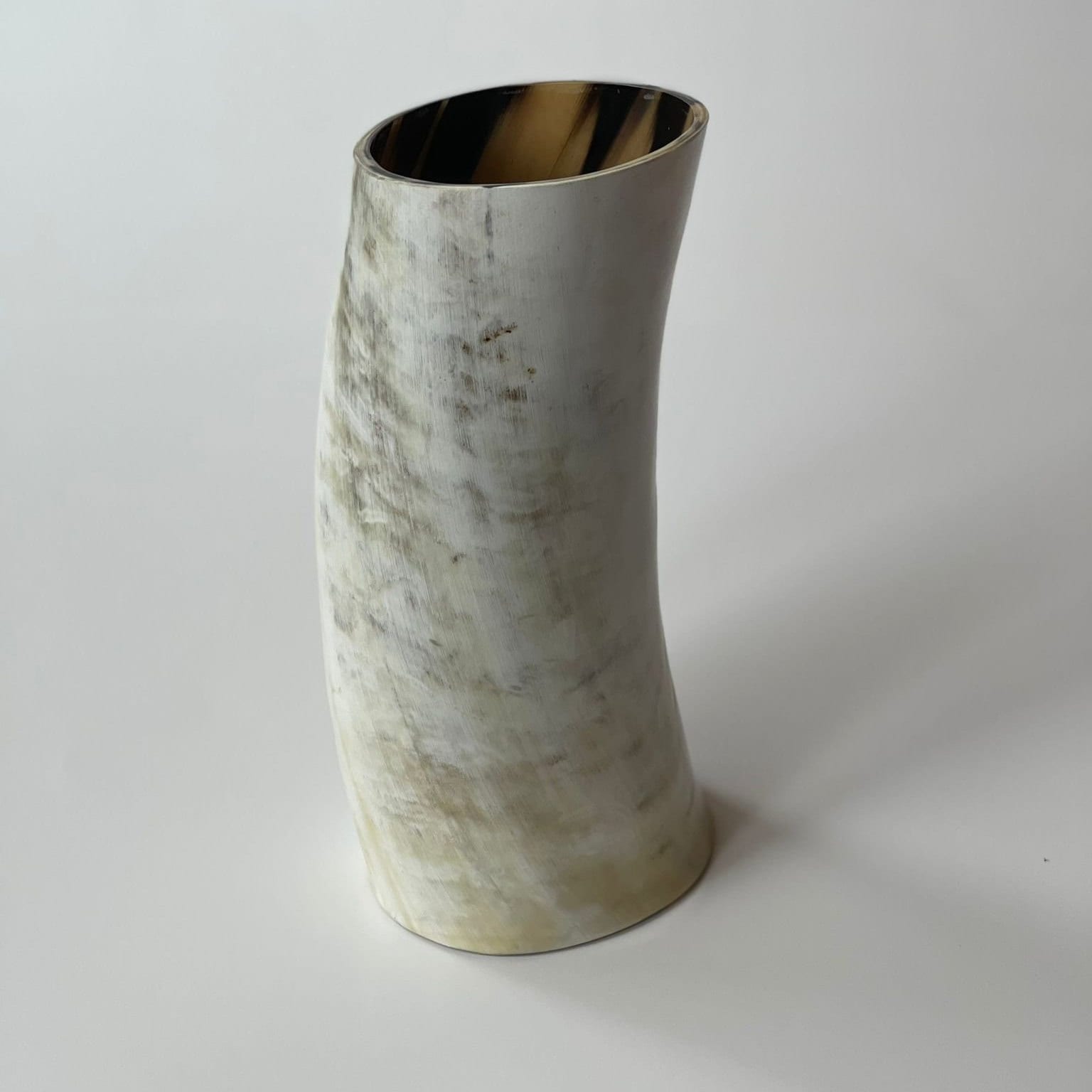 Polished Cow Horns for sale | Only 2 left at -60%
