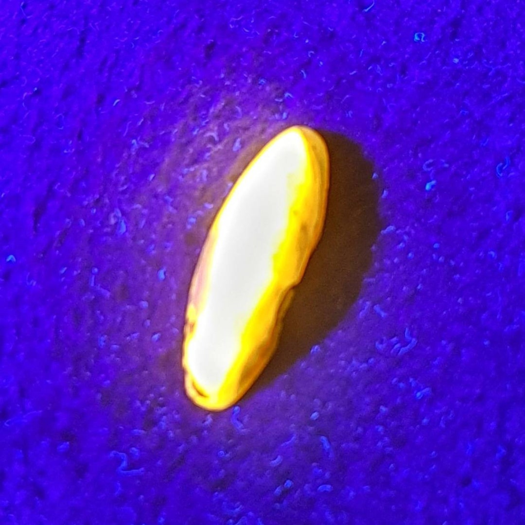 Wernerite Scapolite, Deep Yellow Luminescence Natural Strong Intence ...