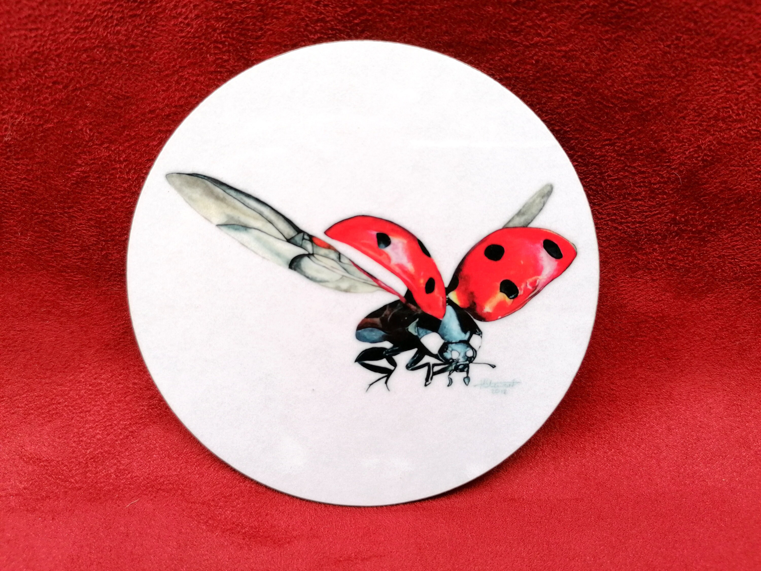 Ladybird Ladybird Coaster Insect Coaster Insect Gifts - Etsy
