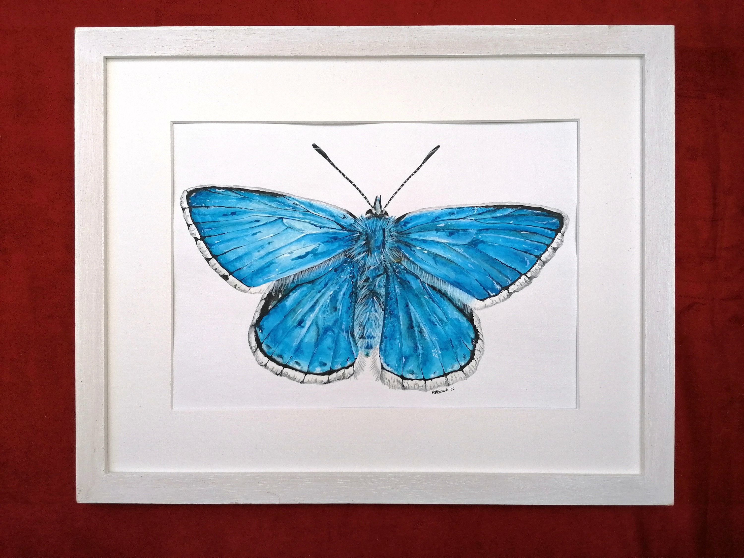 Adonis Blue Butterfly, Original Butterfly Painting, Butterfly Painting ...