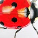 Acrylic Ladybird Painting, Ladybird, Ladybird Painting, Ladybird ...