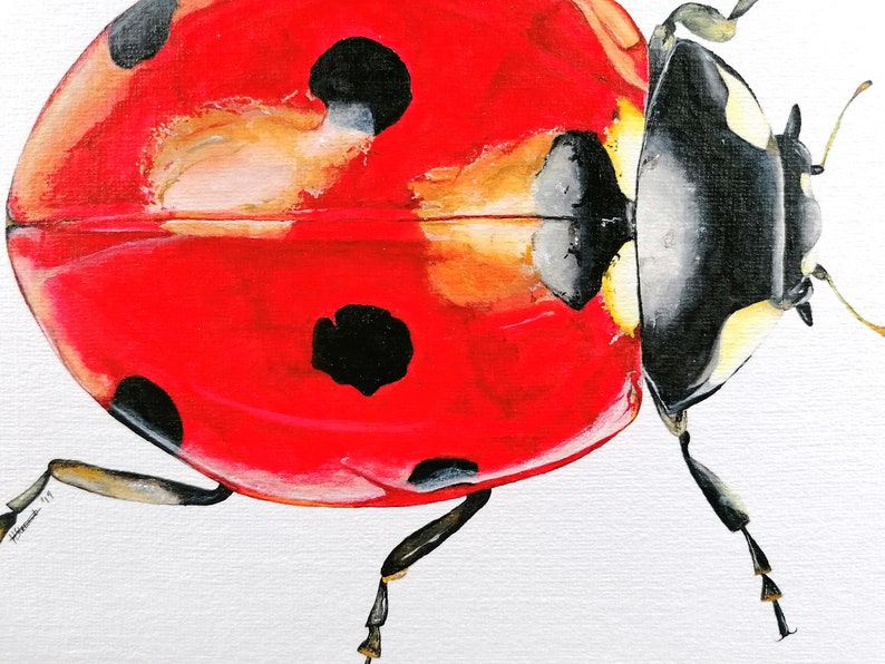 Acrylic Ladybird Painting, Ladybird, Ladybird Painting, Ladybird ...