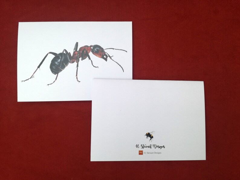 Ant Card, Greetings Card, Insect Card, Bug Card, Animal Cards, Blank ...