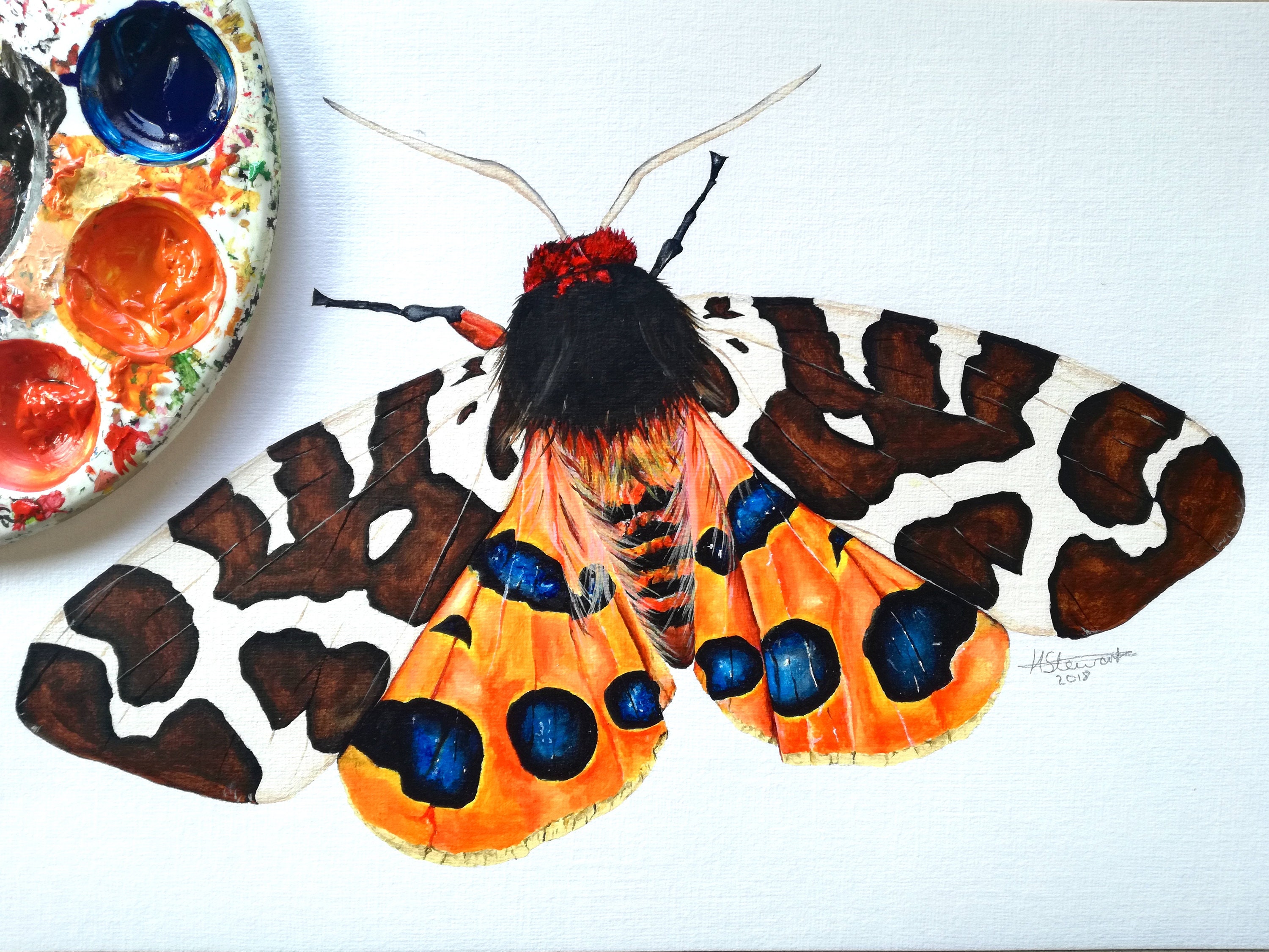 Garden Tiger Moth, Moth Print, Moth Artwork, Moth Painting, Insect ...