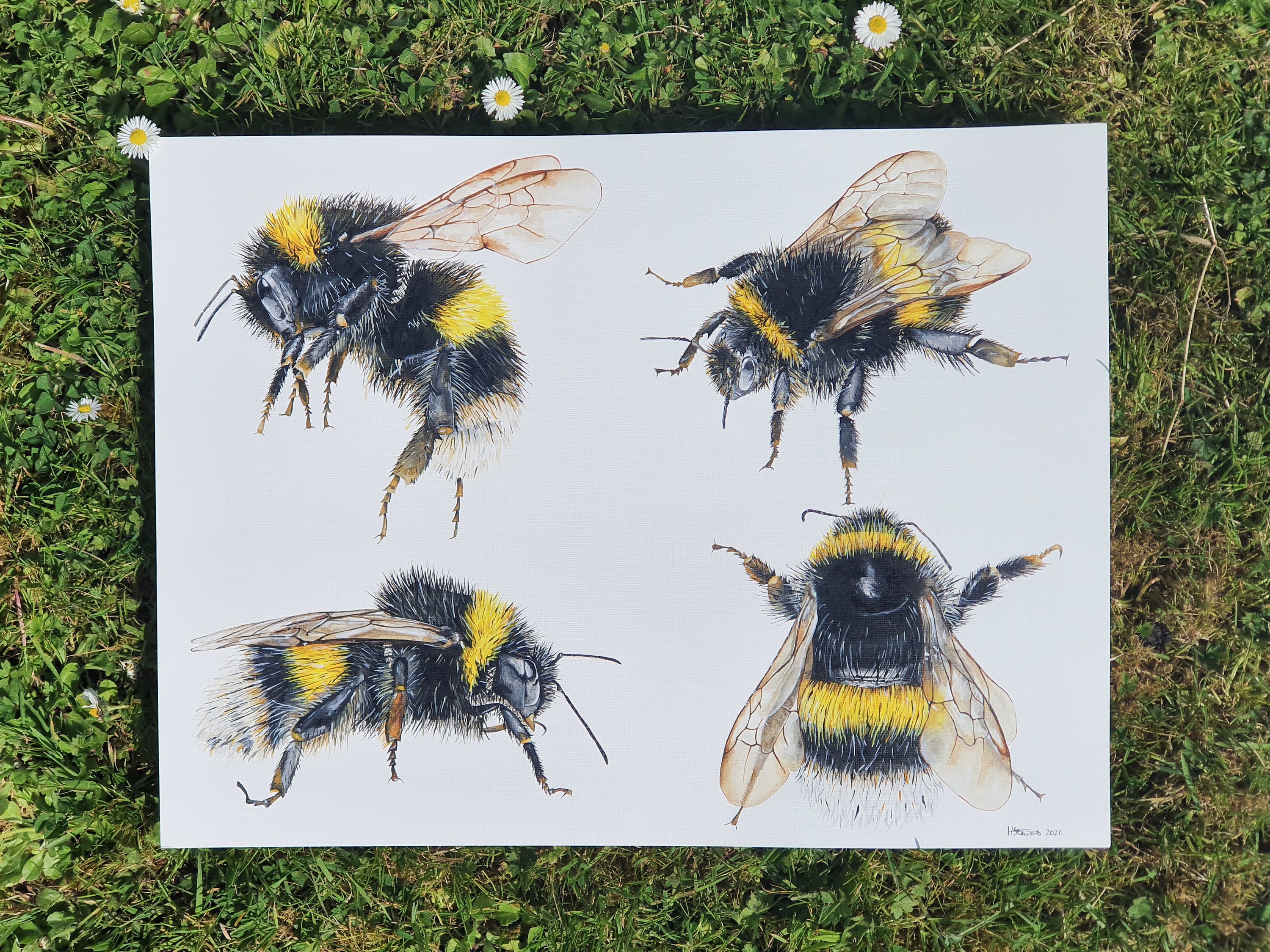 Original Bee Painting, Bee Artwork, Bee Painting, Bumblebee Painting ...