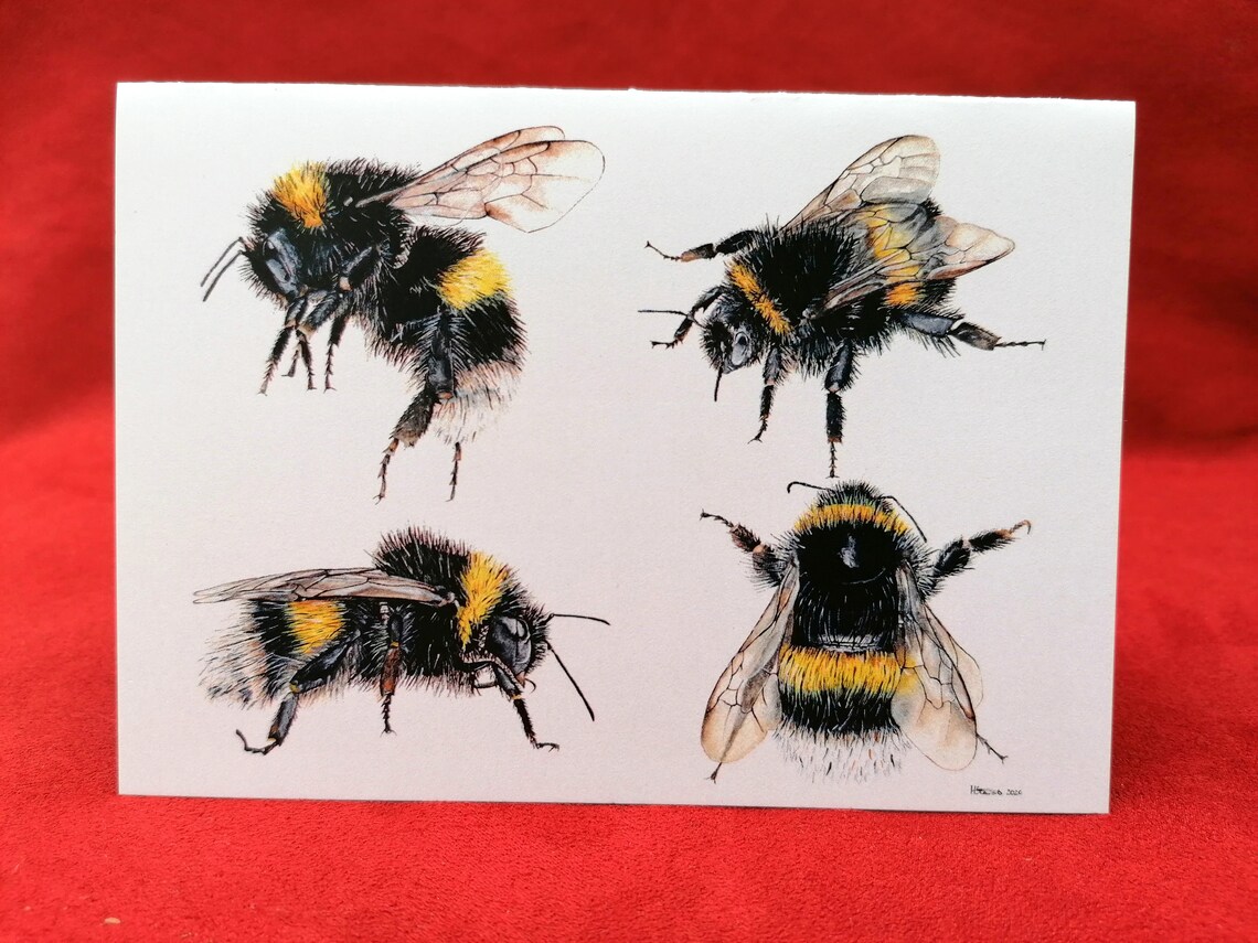 Bumblebee Card, Bee Card, Greetings Card, Insect Card, Bug Card, Animal ...