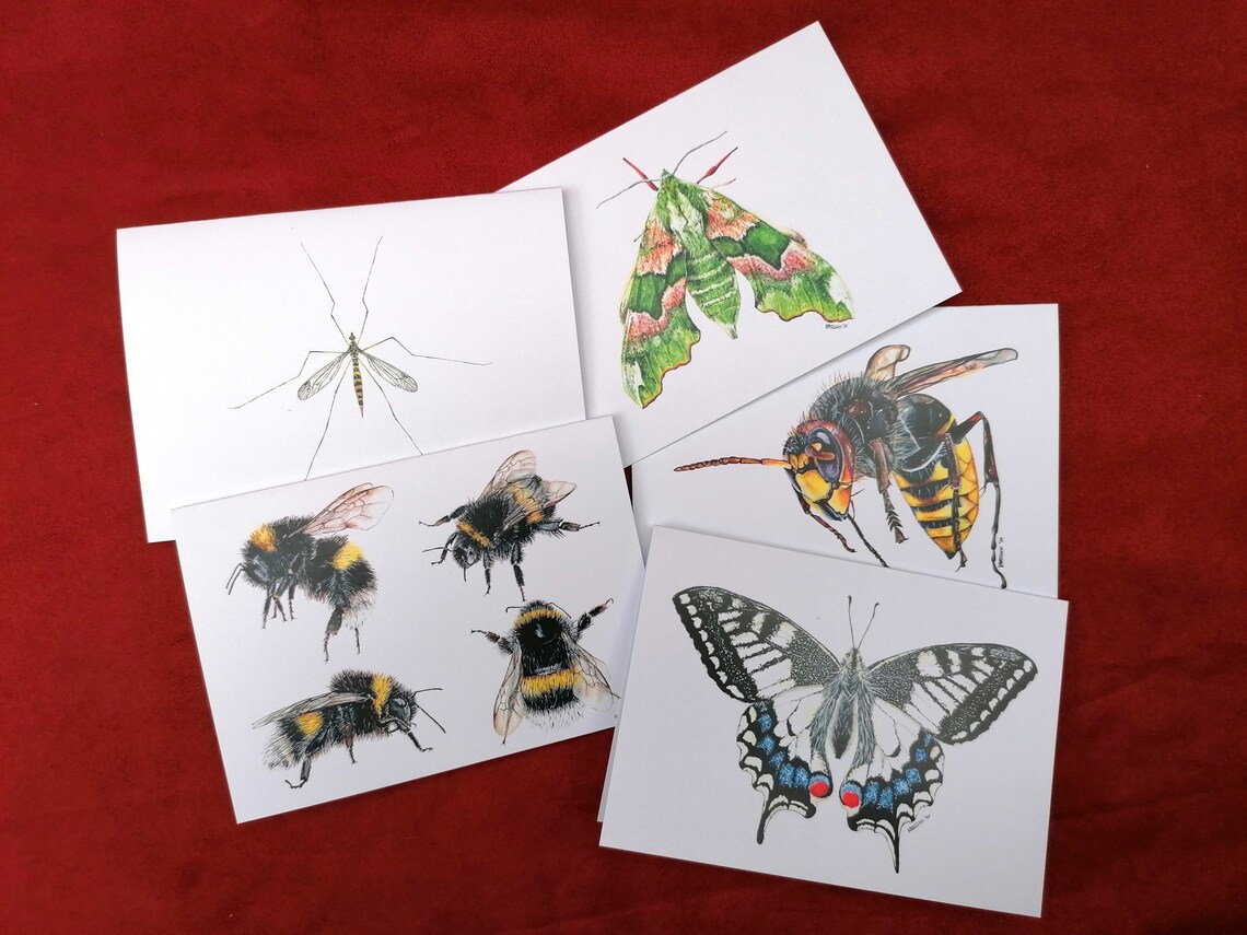 Bumblebee Card, Bee Card, Greetings Card, Insect Card, Bug Card, Animal ...