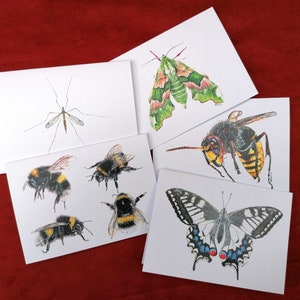 Bumblebee Card, Bee Card, Greetings Card, Insect Card, Bug Card, Animal ...