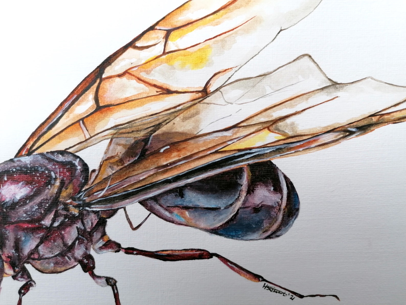 Original Flying Ant Painting, Ant Artwork, Ant Painting, Insect ...