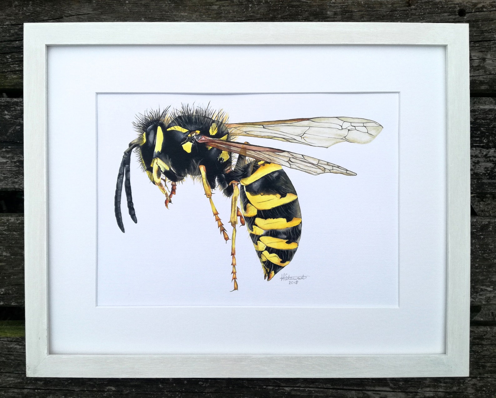 Wasp, Wasp Print, Wasp Painting, Wasp Artwork, Insect Artwork, Insect ...
