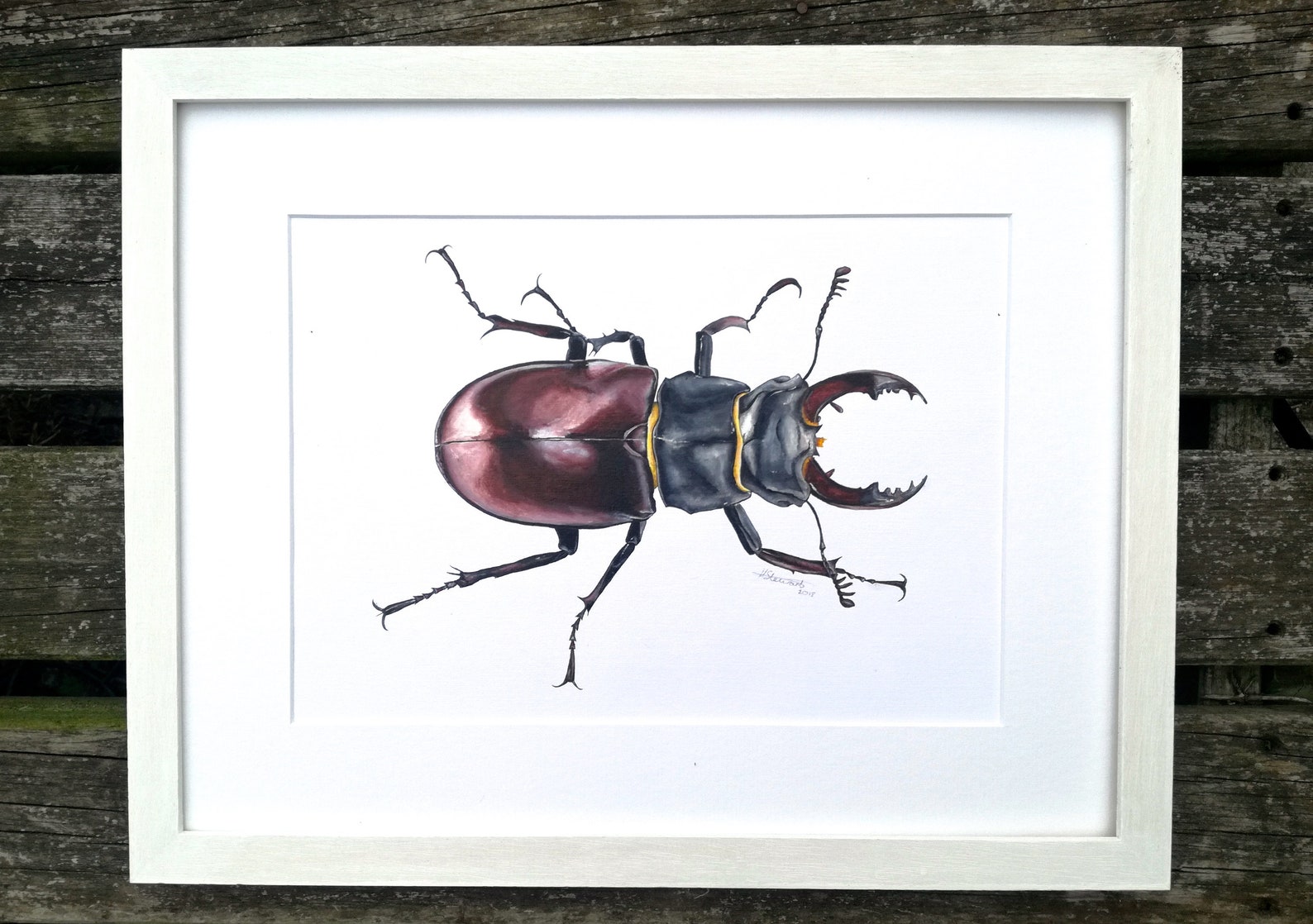Stag Beetle Print, Beetle Artwork, Beetle Painting, Stag Beetle, Beetle ...