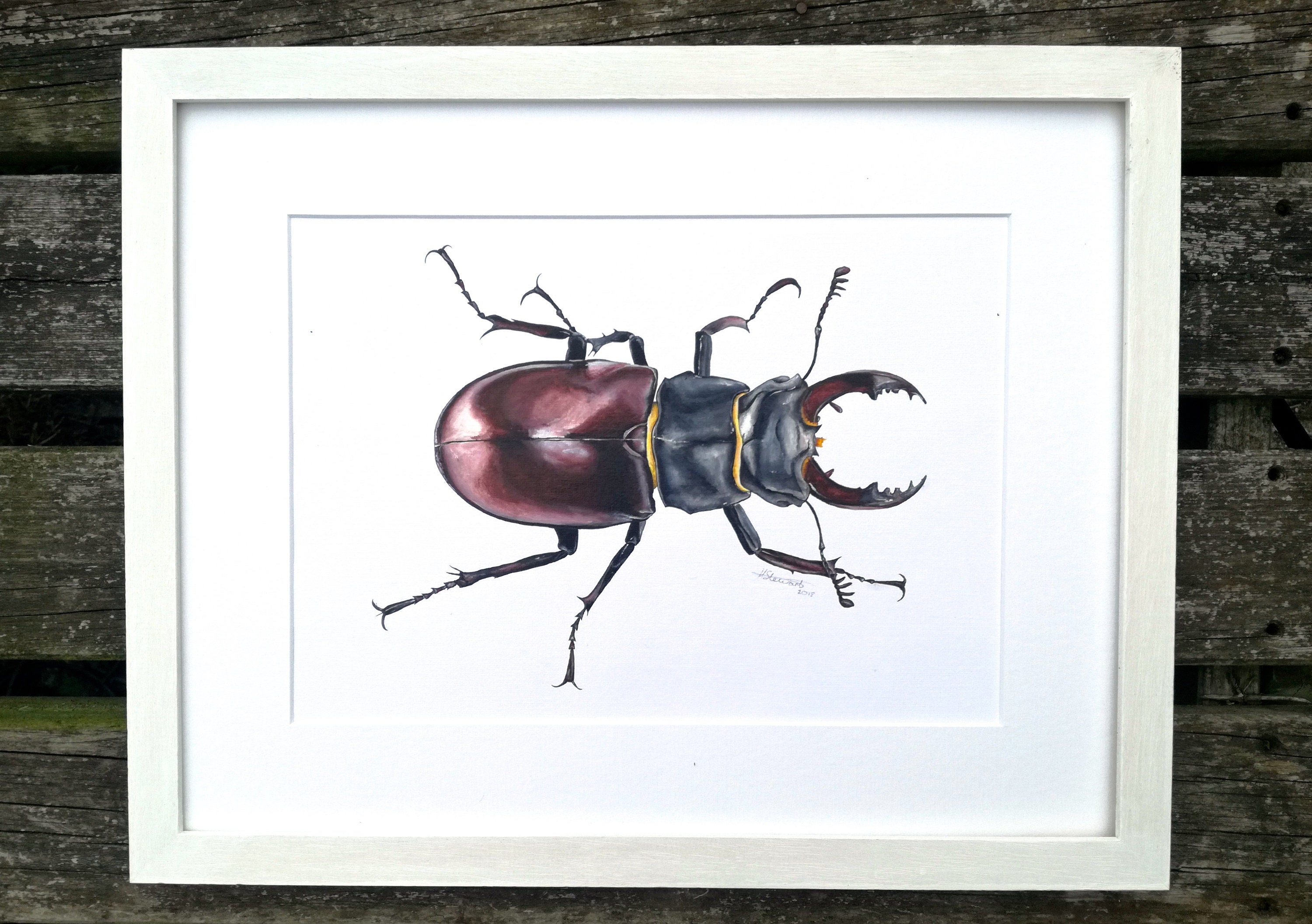 Stag Beetle Print, Beetle Artwork, Beetle Painting, Stag Beetle, Beetle ...