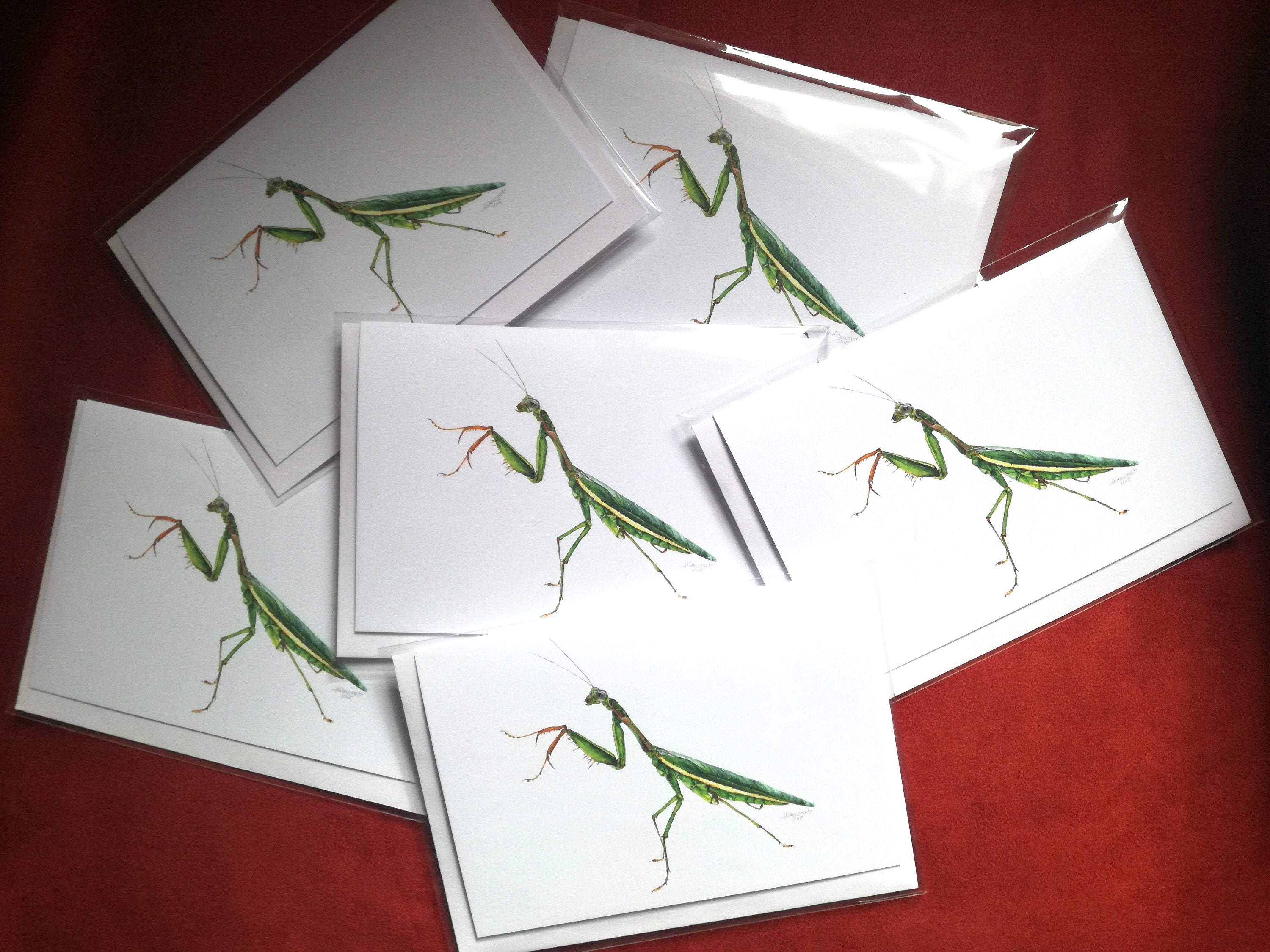 Praying Mantis Card, Greetings Card, Insect Card, Bug Card, Animal ...