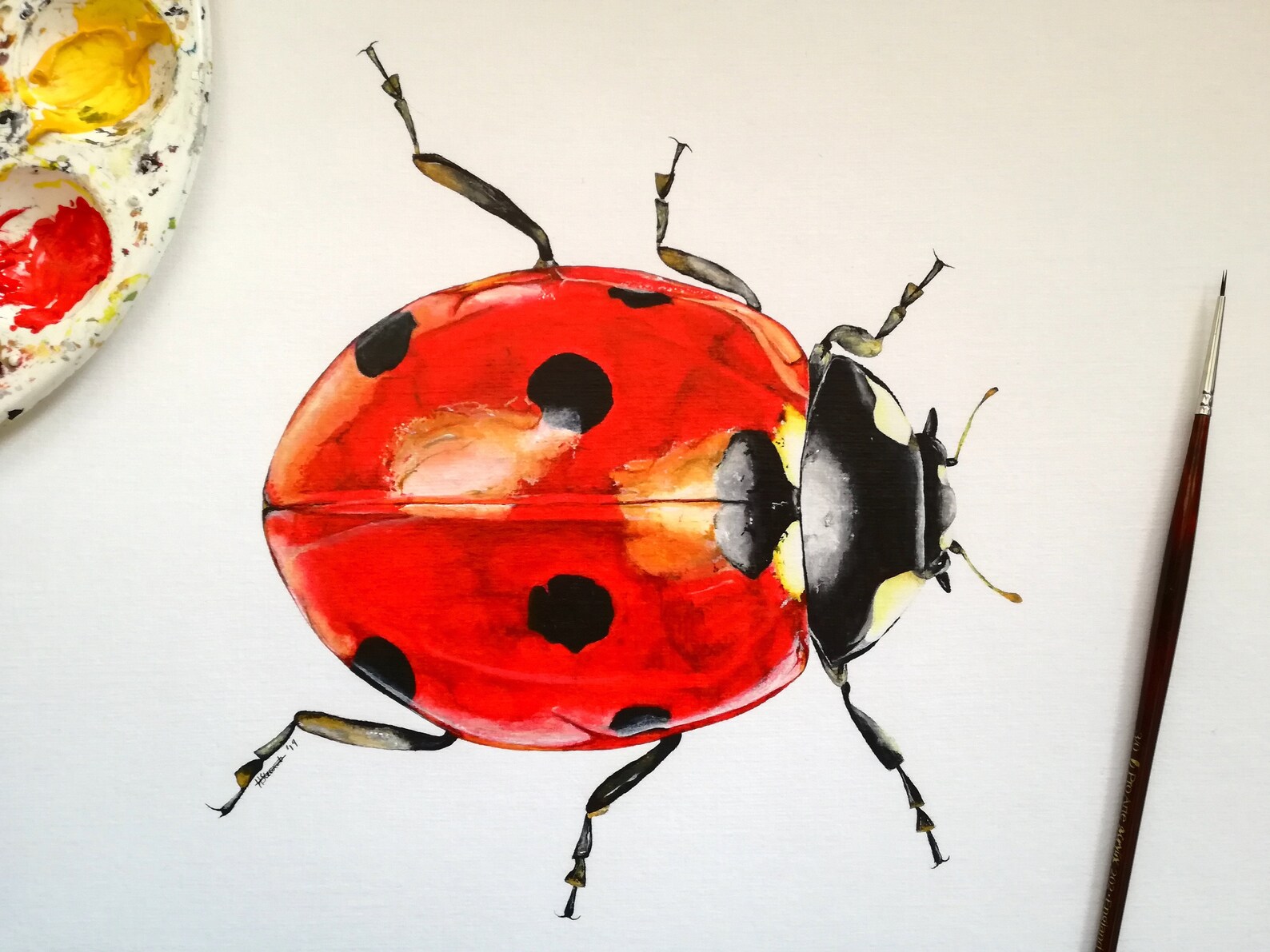 Ladybird, Ladybird Print, Ladybird Painting, Ladybird Artwork, Insect ...
