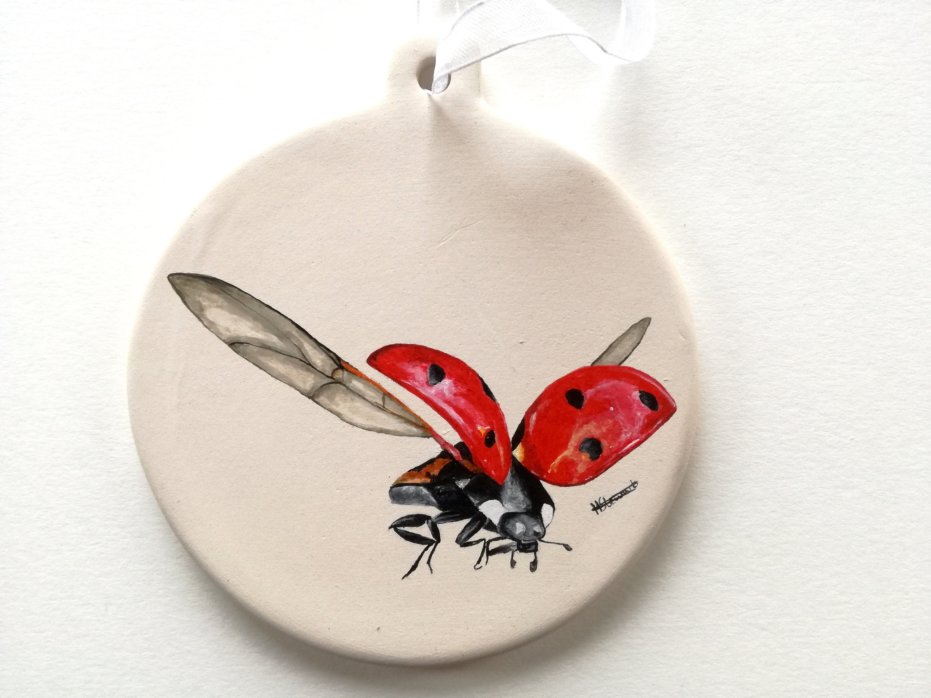 Ladybird, Ladybird Ceramic Bauble, Insect Decoration, Insect Gifts ...