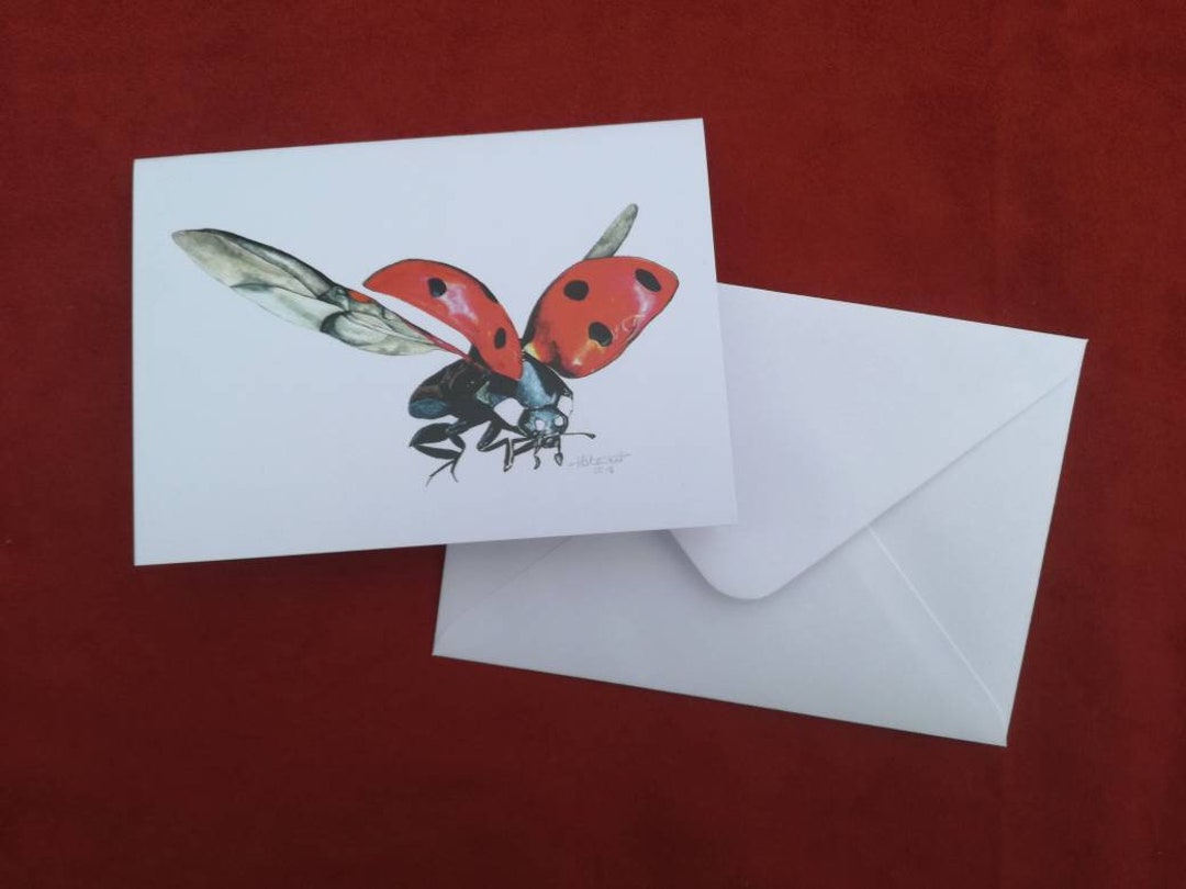 Ladybird Card, Ladybug Card, Greetings Card, Insect Card, Bug Card ...