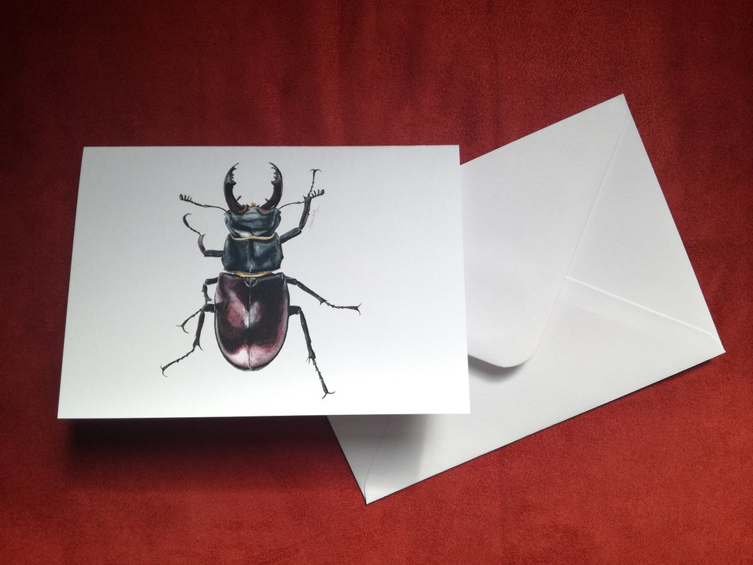 Stag Beetle Card, Beetle Card, Greetings Card, Insect Card, Beetle Card ...