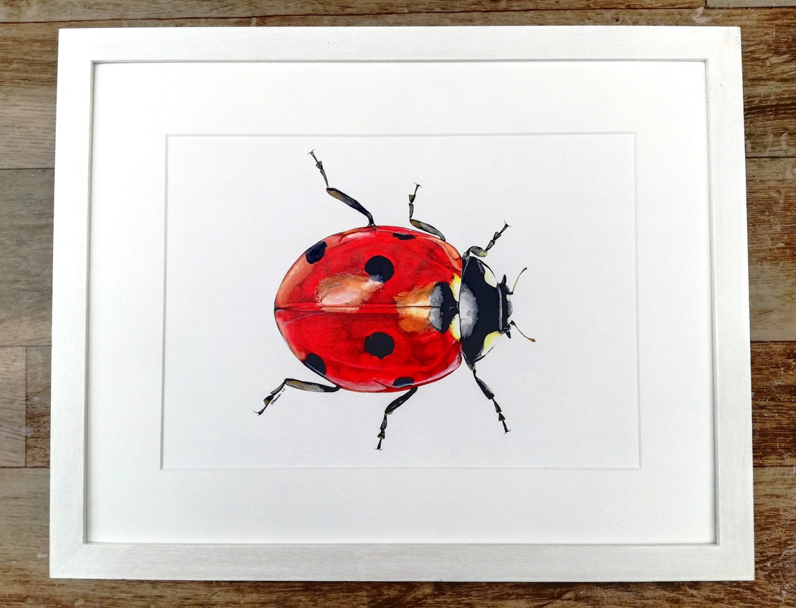 Ladybird, Ladybird Print, Ladybird Painting, Ladybird Artwork, Insect ...