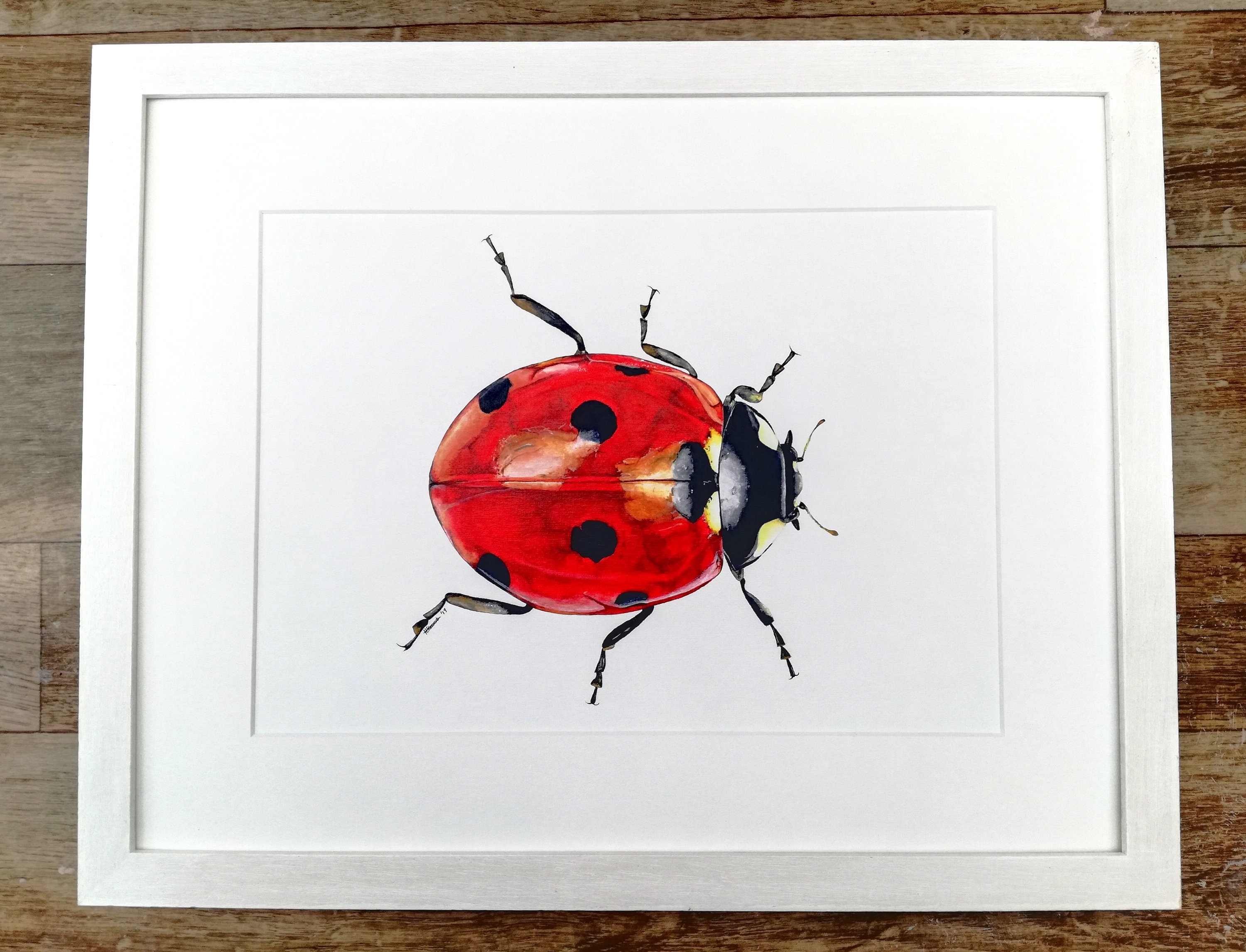 Ladybird, Ladybird Print, Ladybird Painting, Ladybird Artwork, Insect ...
