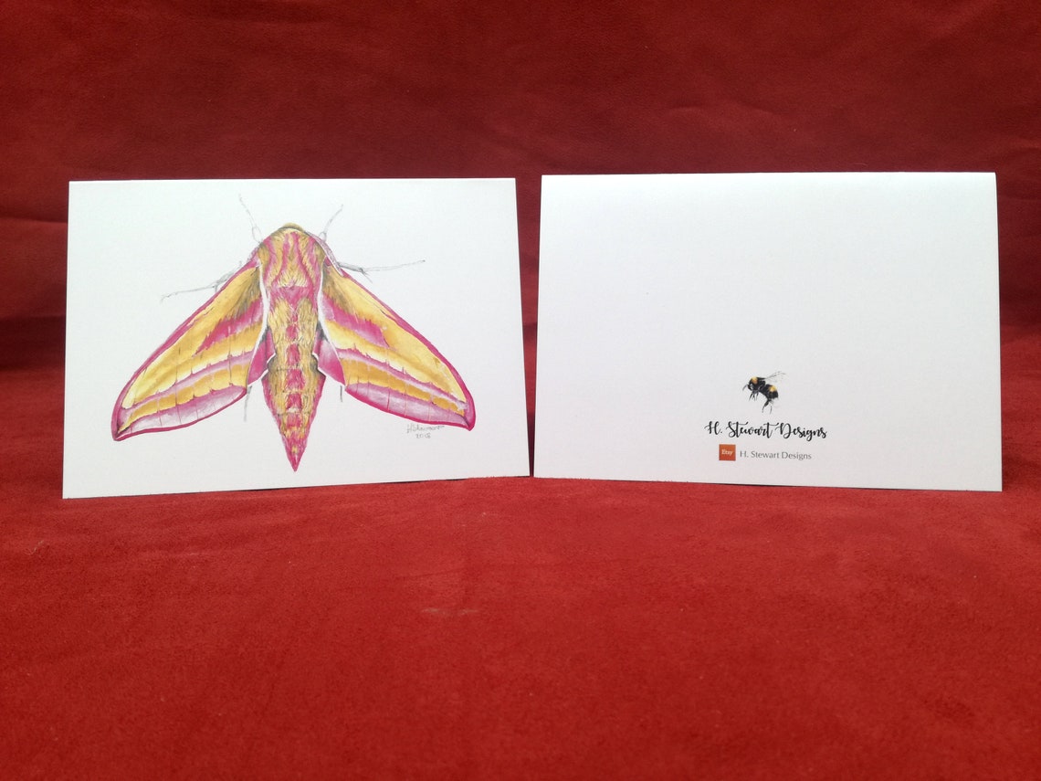 Elephant Hawk Moth Card Moth Card Greetings Card Insect - Etsy