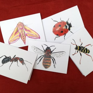 Ant Card, Greetings Card, Insect Card, Bug Card, Animal Cards, Blank ...
