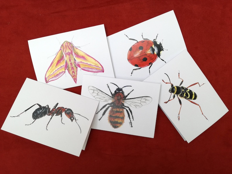 Ant Card Greetings Card Insect Card Bug Card Animal Cards | Etsy