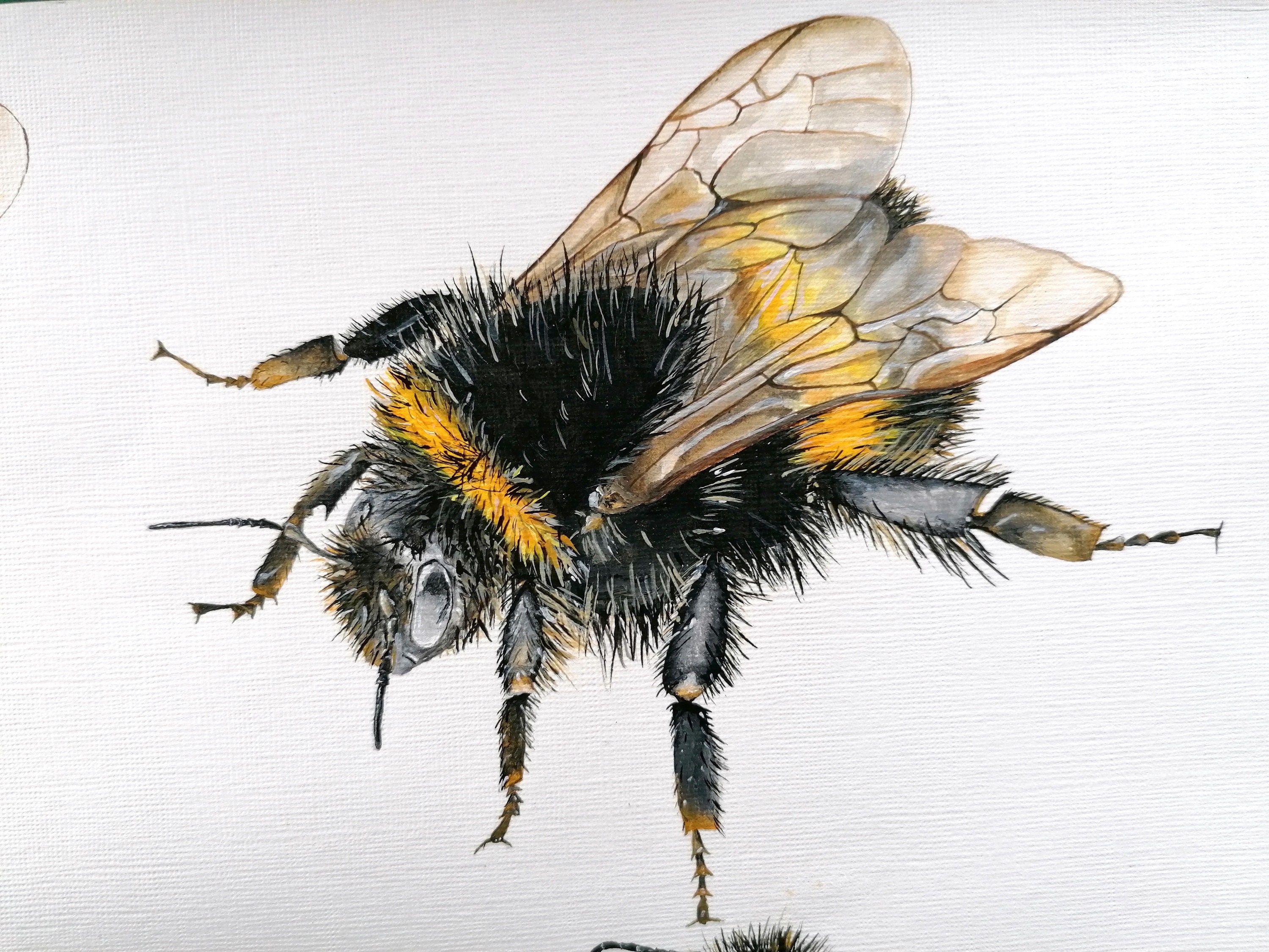 Original Bee Painting, Bee Artwork, Bee Painting, Bumblebee Painting ...