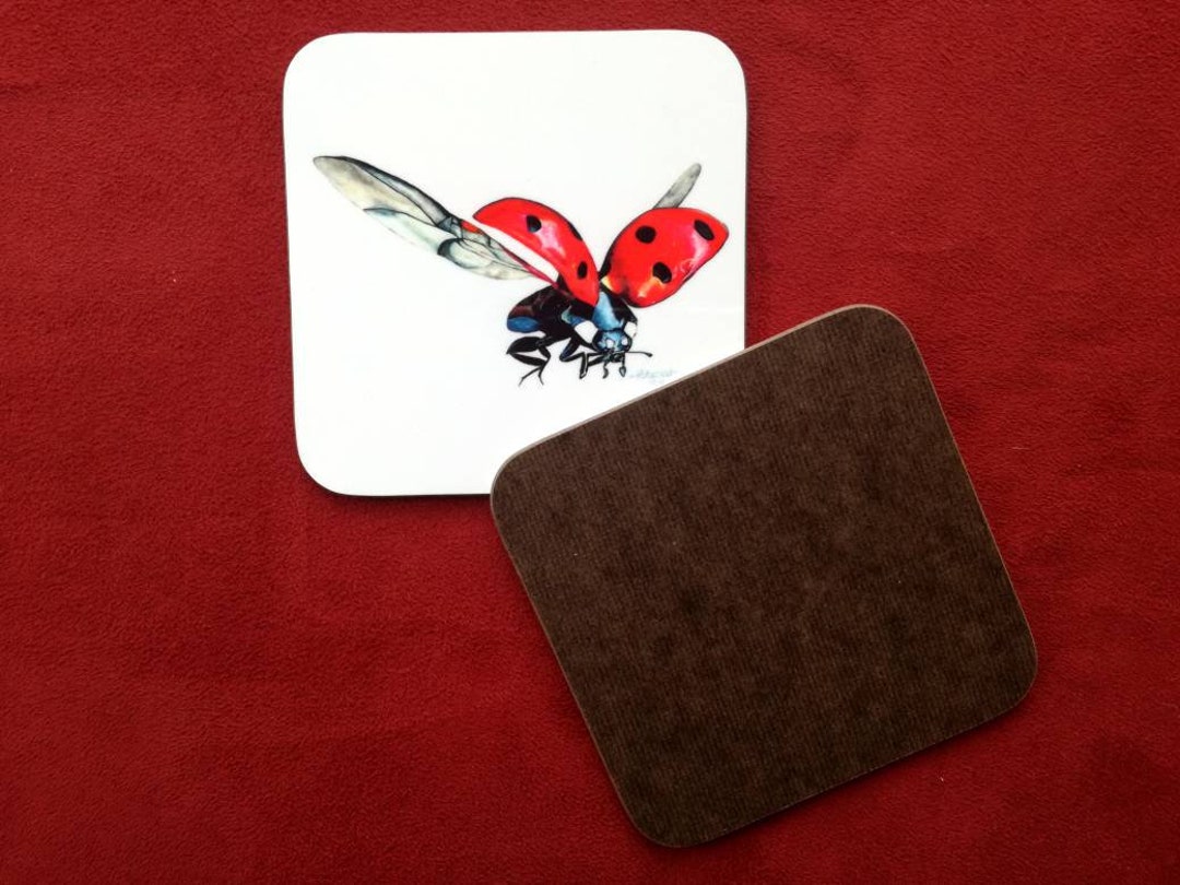 Ladybird, Ladybird Coaster, Insect Coaster, Insect Gifts, Ladybird ...