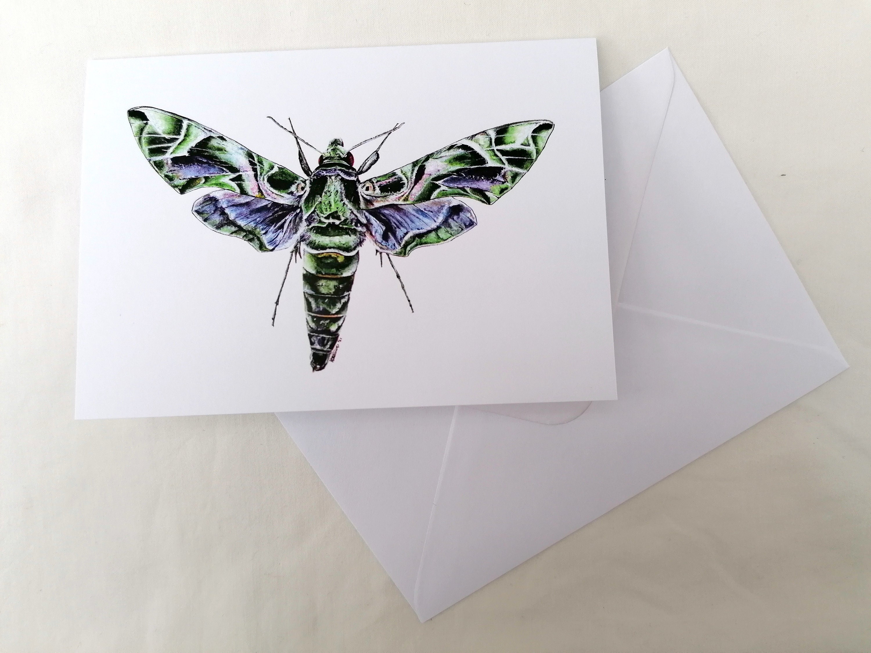 Oleander Hawk Moth Card, Moth Card, Greetings Card, Insect Card, Bug ...