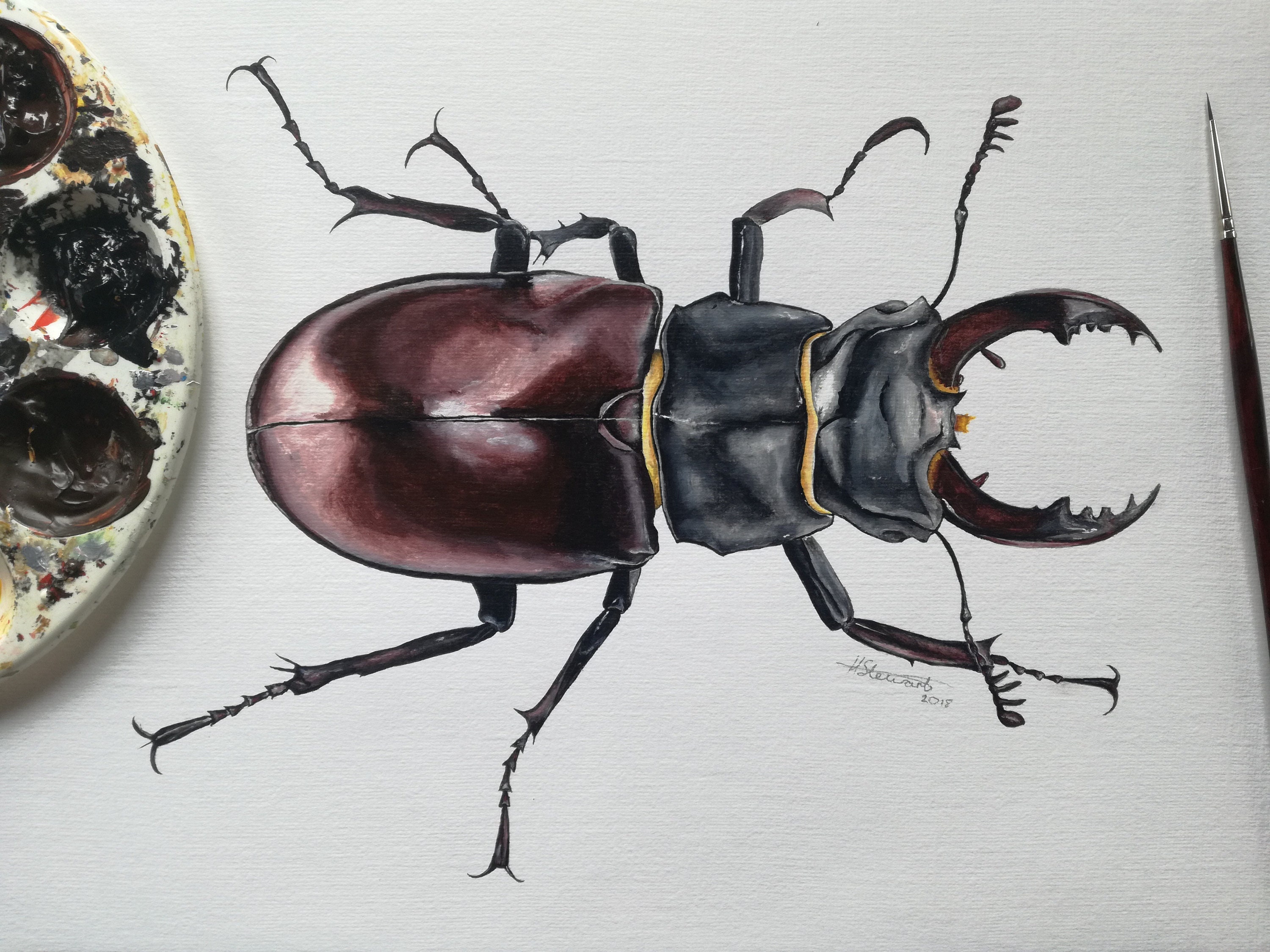 Stag Beetle Print, Beetle Artwork, Beetle Painting, Stag Beetle, Beetle ...