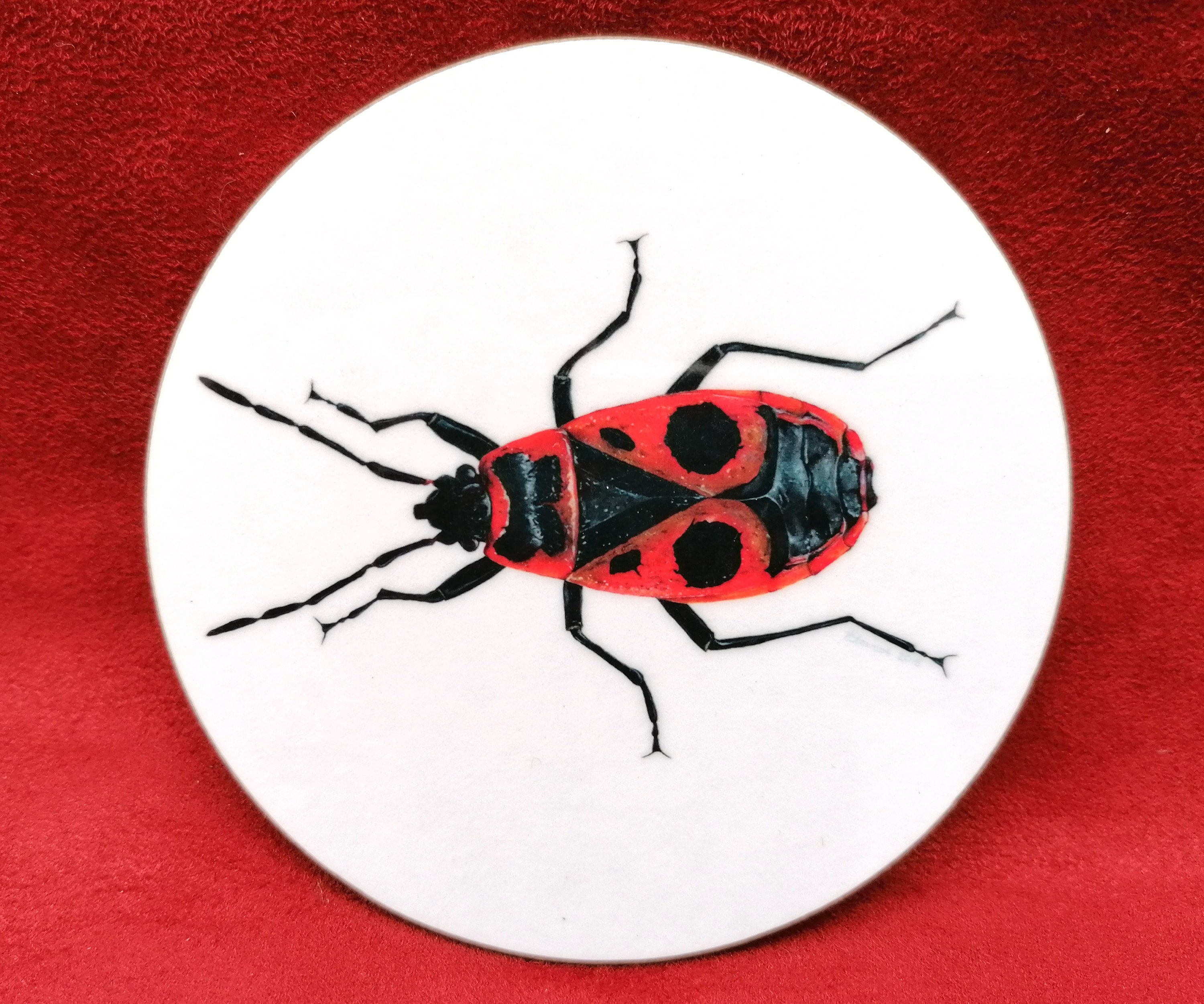 Fire Bug, Fire Bug Coaster, Insect Coaster, Insect Gifts, Drinking ...