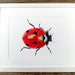 Acrylic Ladybird Painting, Ladybird, Ladybird Painting, Ladybird ...