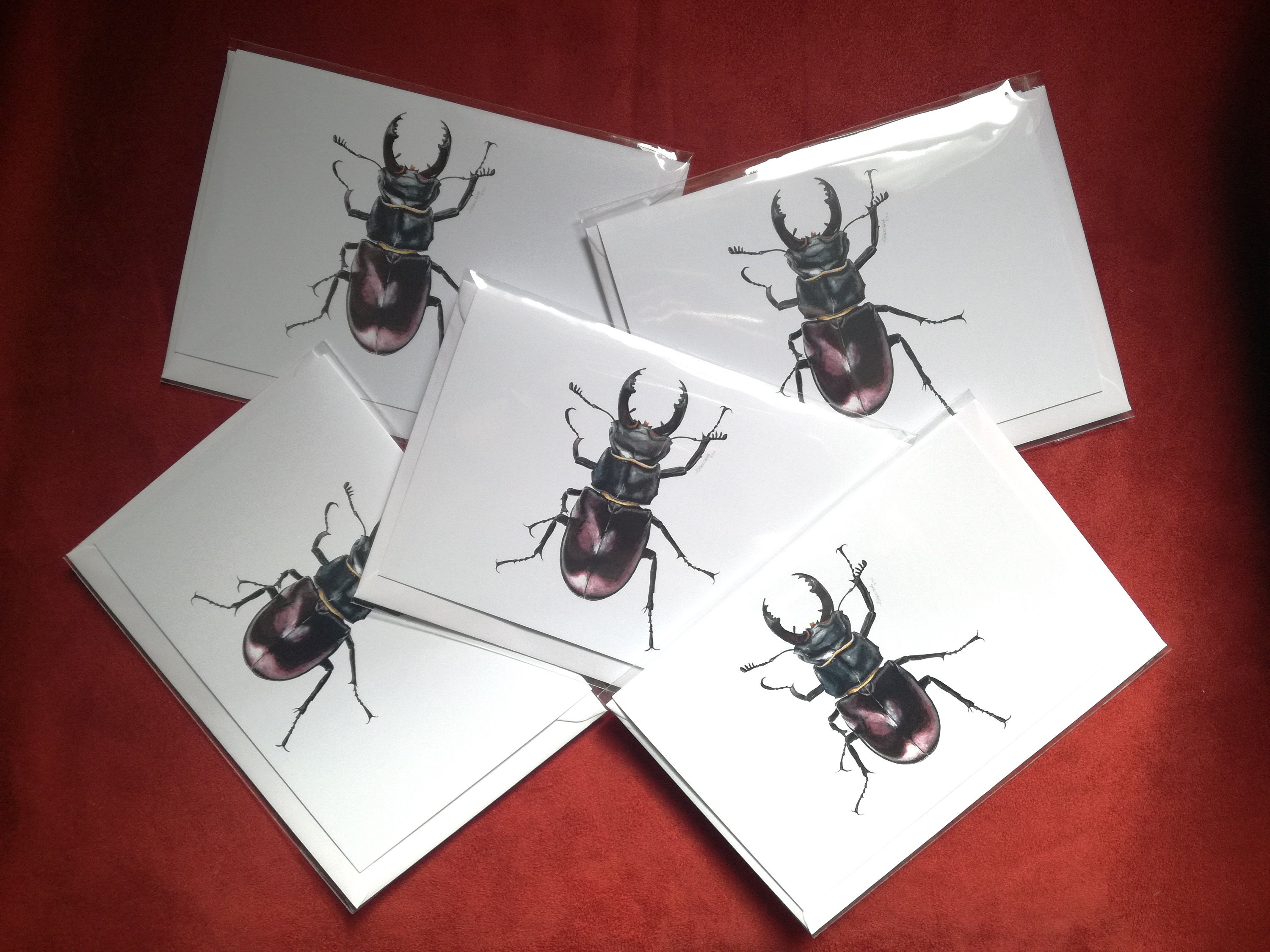 Stag Beetle Card Beetle card Greetings card Insect card - Etsy 日本