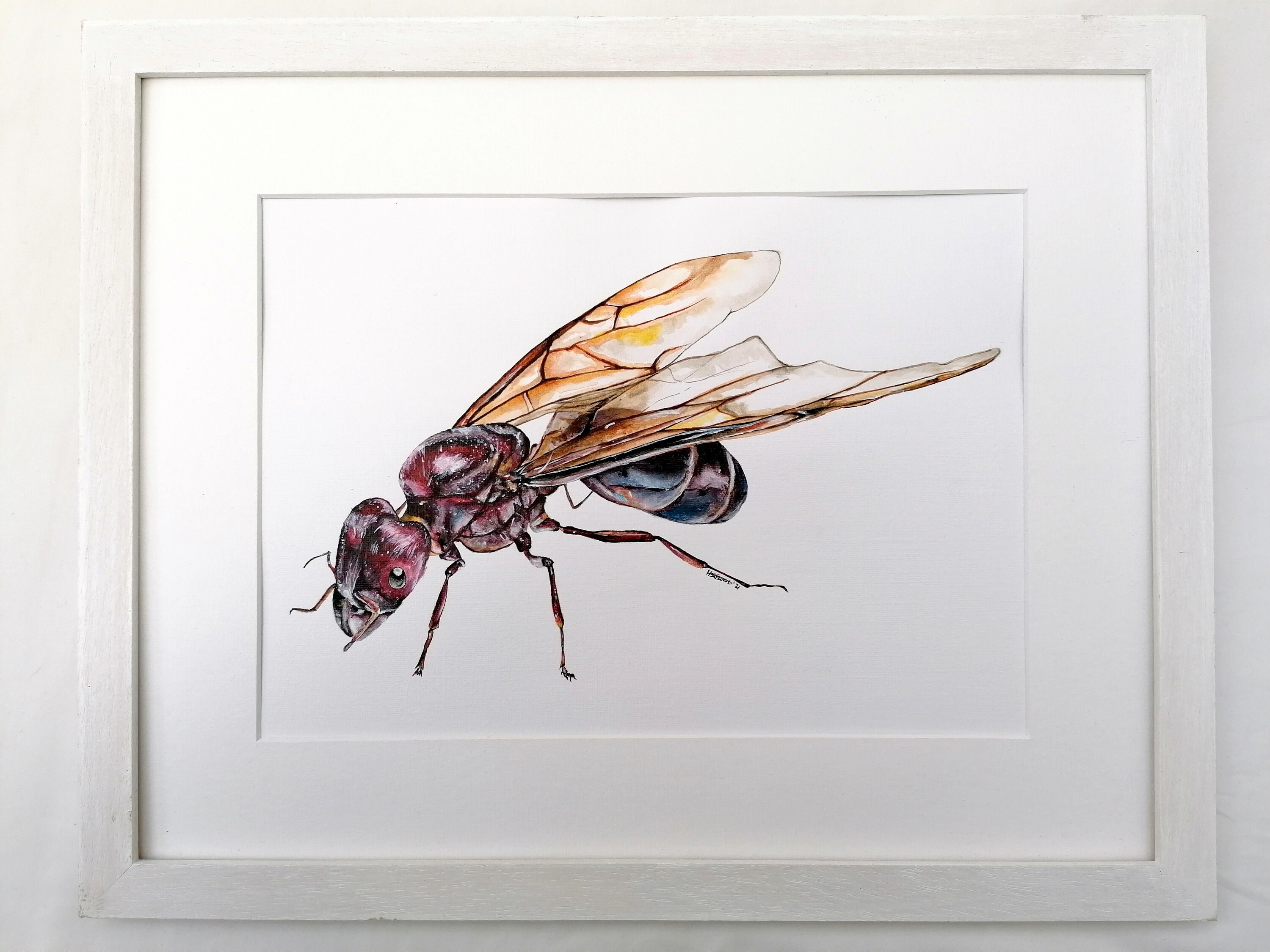 Original Flying Ant Painting, Ant Artwork, Ant Painting, Insect ...