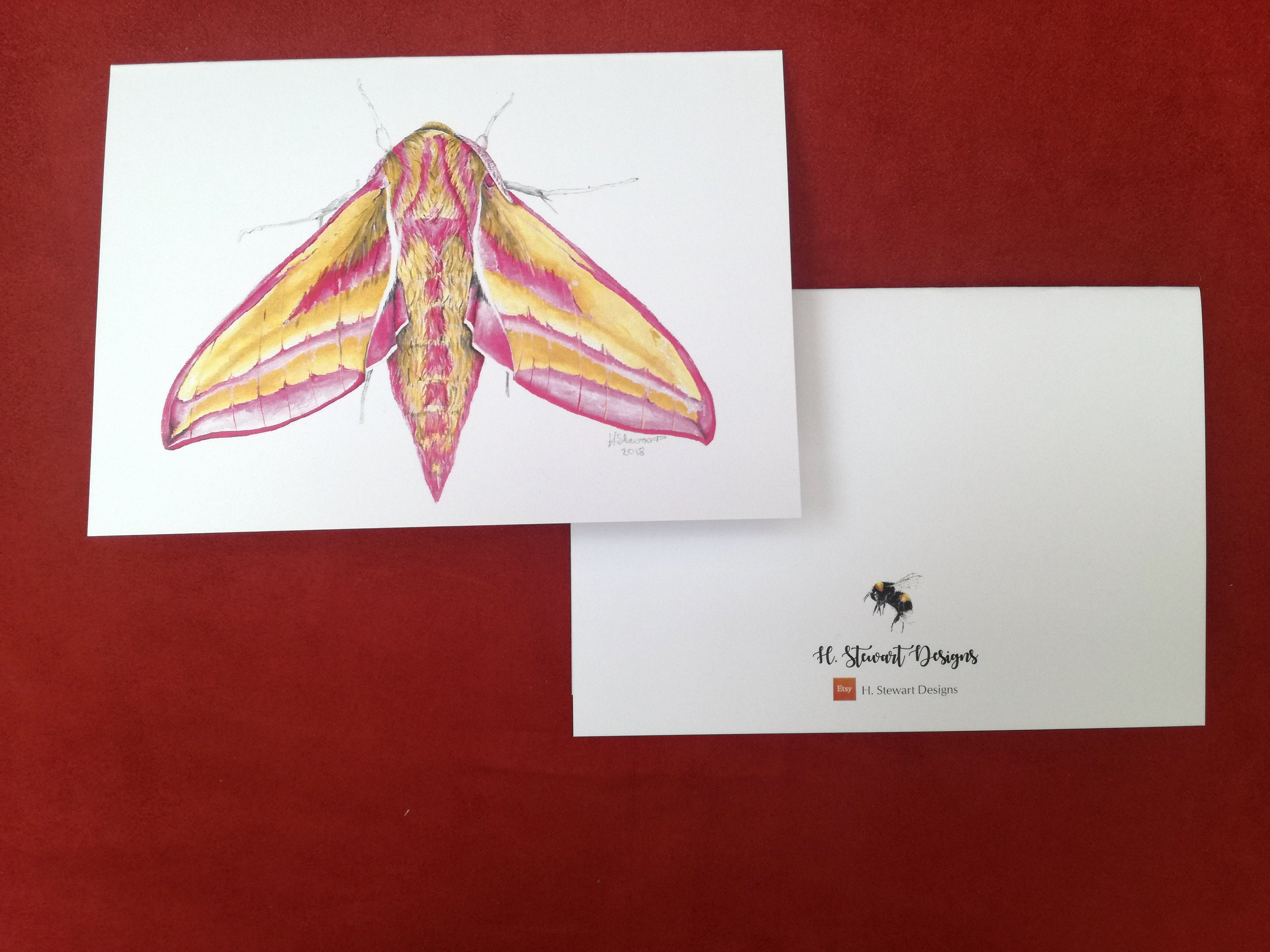 Elephant Hawk Moth Card, Moth Card, Greetings Card, Insect Card, Bug ...