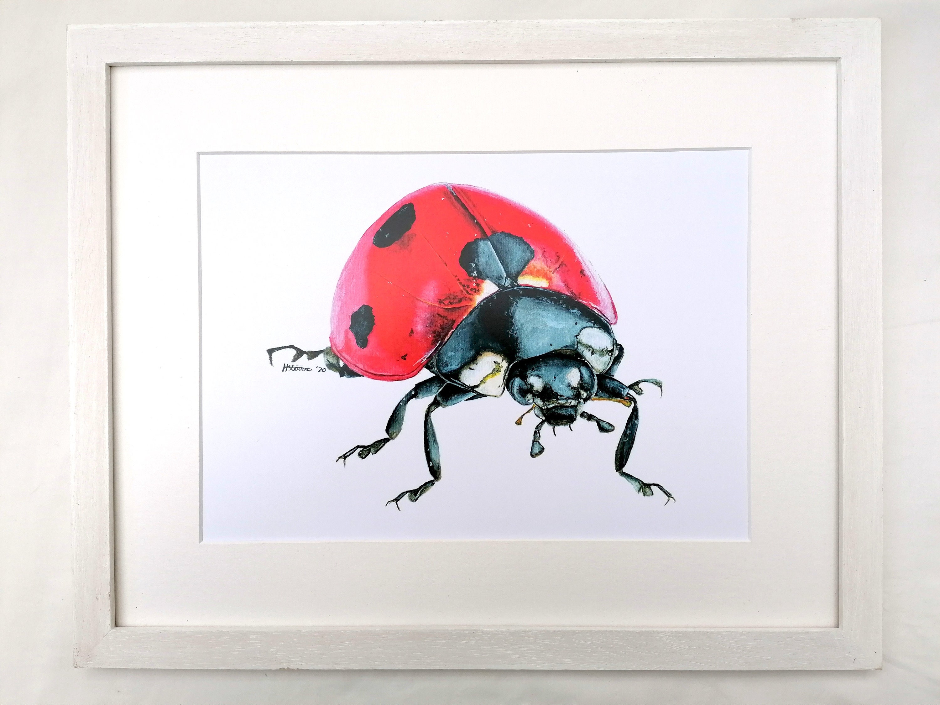 Ladybird, Ladybird Print, Ladybird Painting, Ladybird Artwork, Insect ...