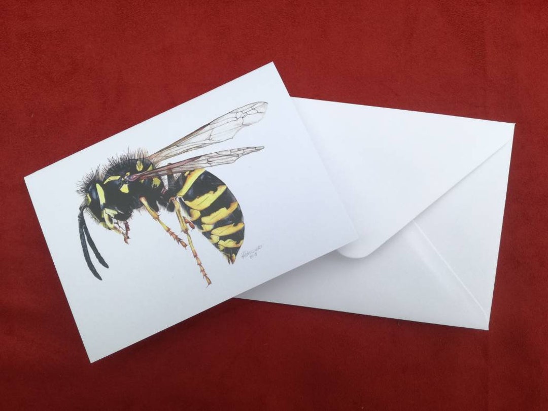 Wasp Card, Greetings Card, Insect Card, Bug Card, Animal Cards, Blank ...