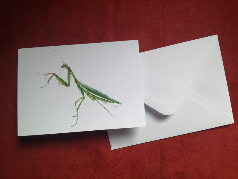 Praying Mantis Card, Greetings Card, Insect Card, Bug Card, Animal ...