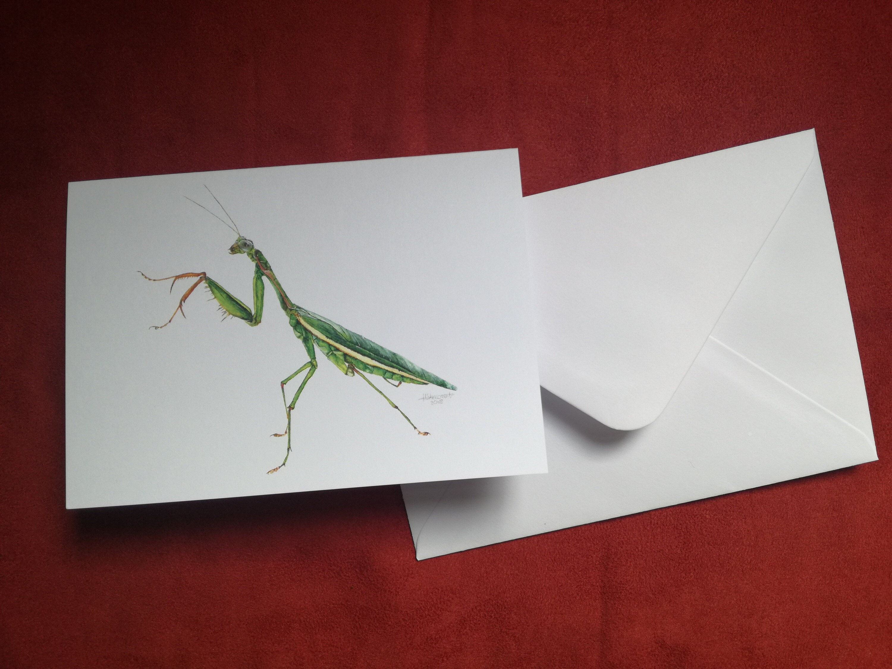 Praying Mantis Card, Greetings Card, Insect Card, Bug Card, Animal ...