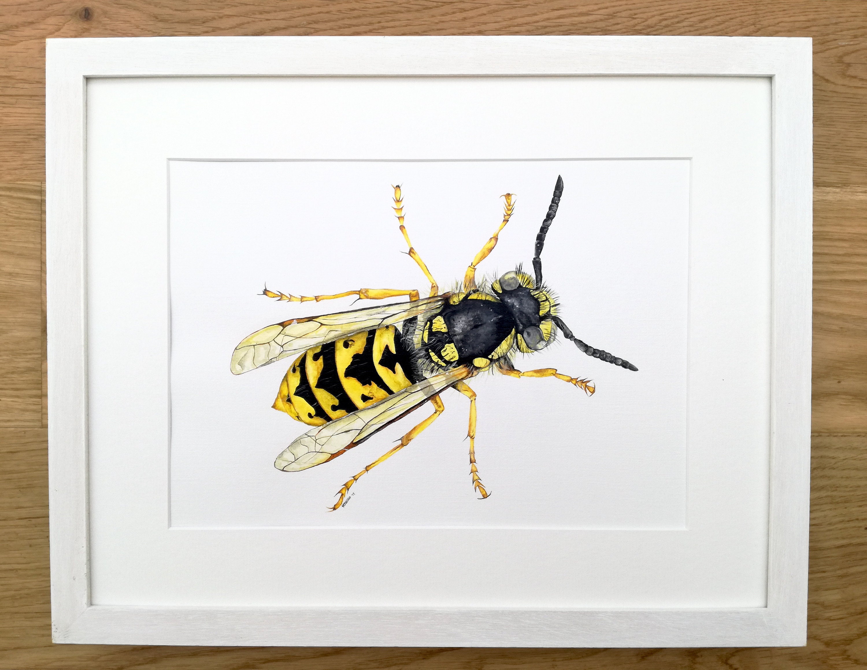 Wasp, Wasp Print, Wasp Painting, Wasp Artwork, Insect Artwork, Insect ...