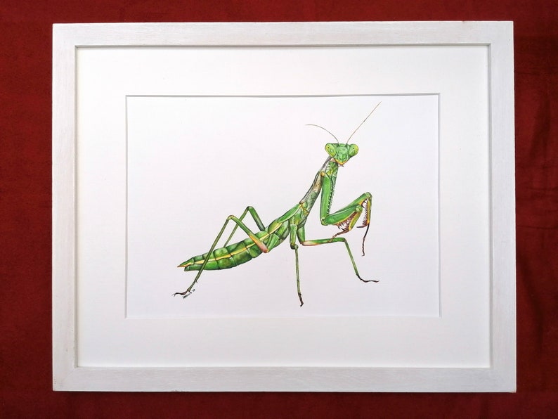 Acrylic Praying Mantis Painting, Mantis Artwork, Praying Mantis ...